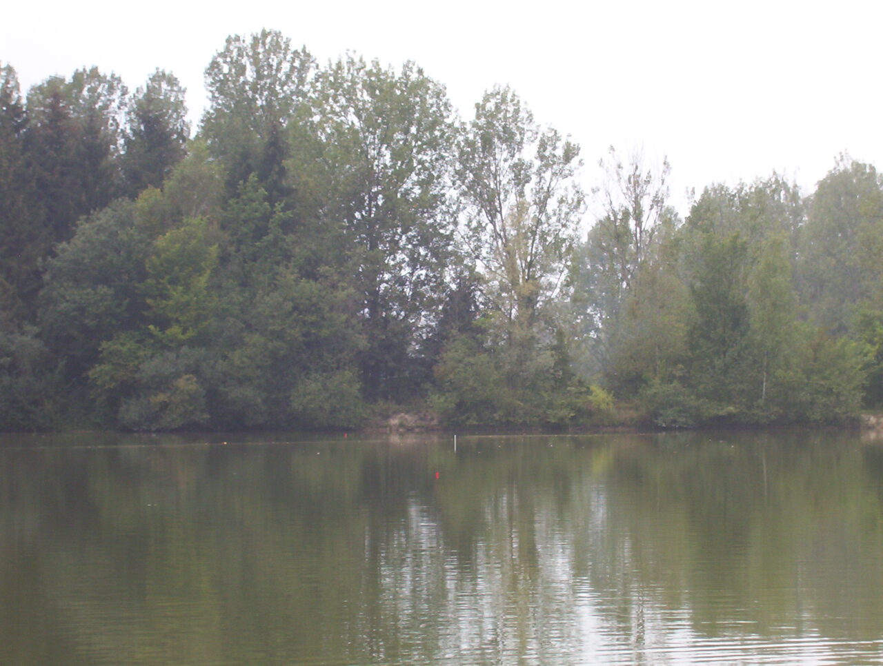 Fishing Licence | Apply for a fishing Licence